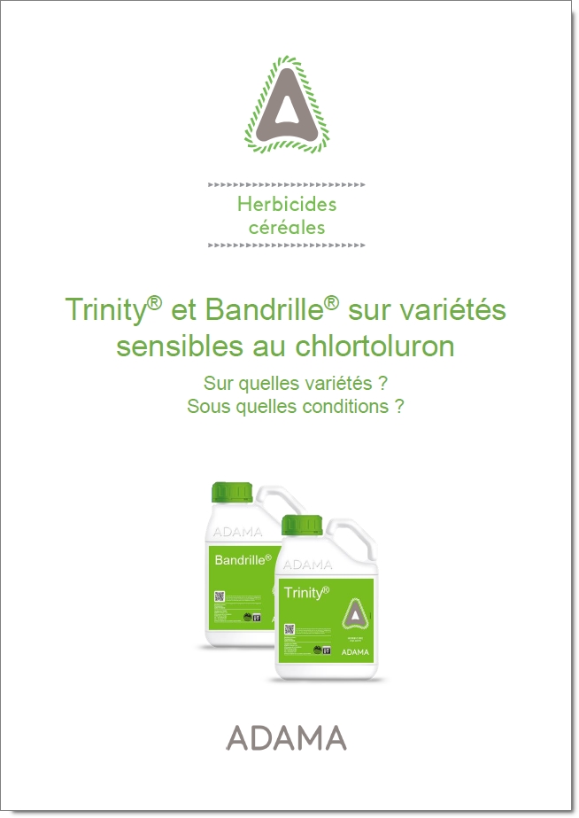 Trinity et Bandrille sur variétés sensibles au chlortoluron